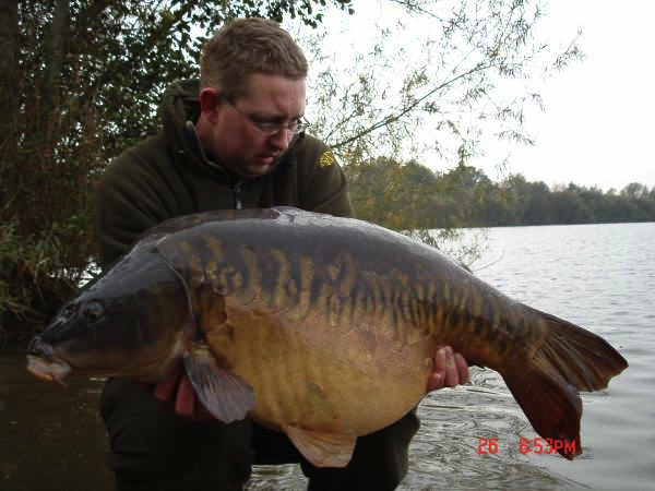 Carpworld Kruidenier – 20 September Opening – Enschede – KWO
